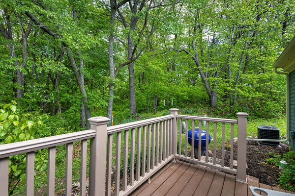 Charming 1-bedroom Cozy Retreat - Illinois