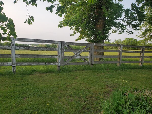 Cozy Cabin - Fire Pit, Upscale Area, Near I44 & Hwy 65 - Springfield, MO