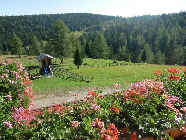 Family Room, Shower Or Bath, Wc, Mountain Side - Hotel Stoichart - Carinzia