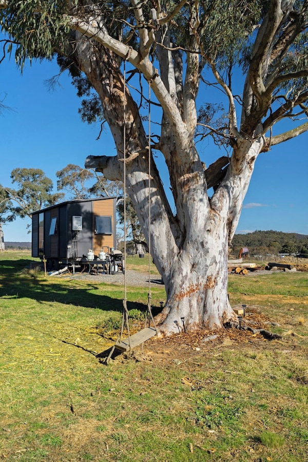 Clover At Lexington Park By Tiny Away - Goulburn