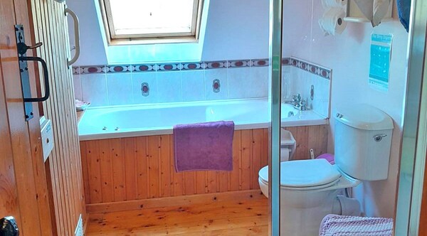 Perfect For Westport, Newport, Gweenway And More - Westport