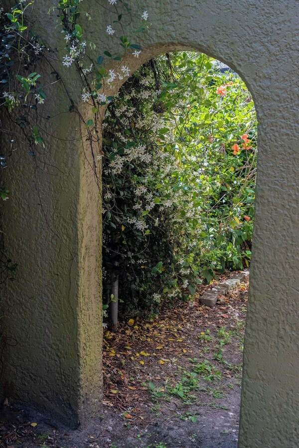 Downtown Lakeland - Be Our Guest At Casa Serenada! - Pet Friendly - Lakeland, FL