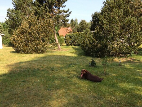 Vacation Home For 4 Guests With 65m² In Neu Poserin (251504) - Waren