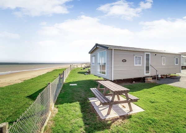 Castaways Oyster 6 (Pet) - Sea Palling