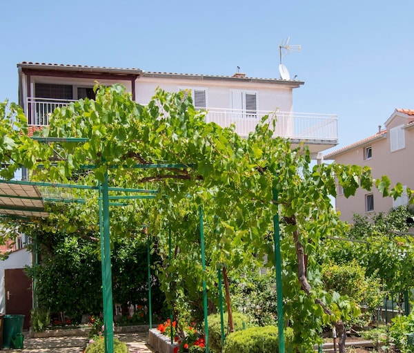 Apartments Neve (113631-a1) - Vodice - Vodice, Croatia