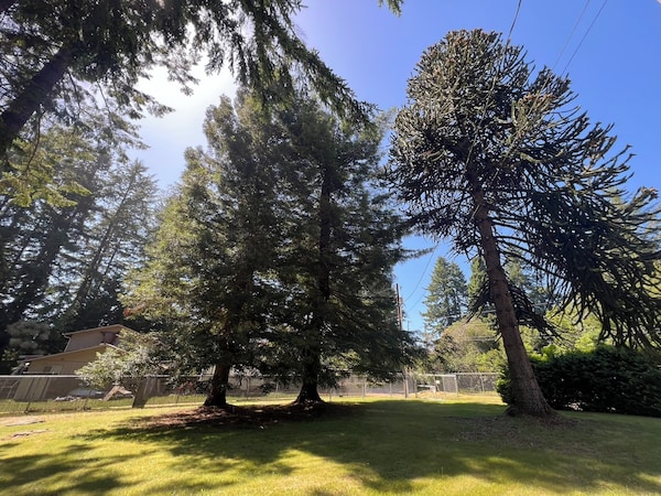 Peace & Quiet At The Dodge House - Brookings, OR