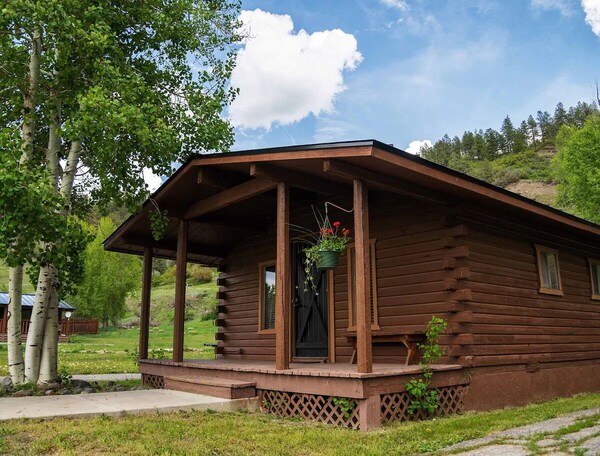 Cozy Log Cabin W/ Hot Tubs & Mountain Views: Enjoy Hot Springs W/ Easy Reach - Pagosa Springs, CO