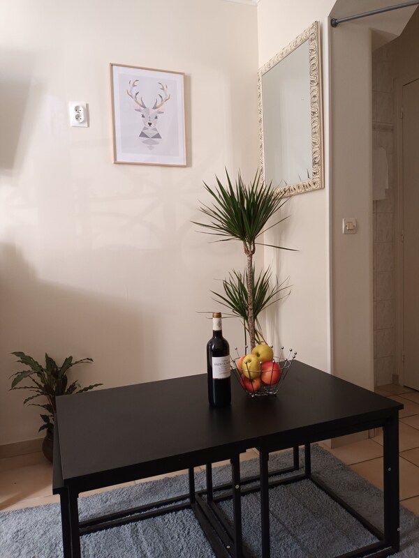 Apartment In Central Paris - Pariisi