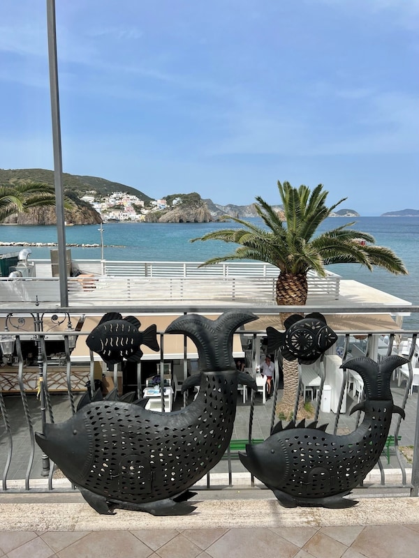 The Cornucopia By The Sea - Ponza