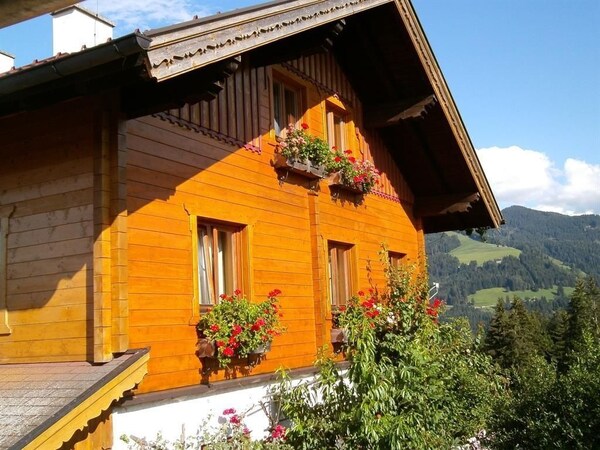 Nagellehen - Fewo A - Flachau