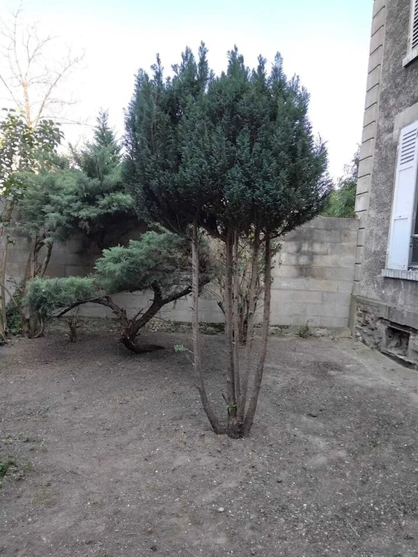 Homerez - Appartement à Villeneuve-saint-georges - Beauregard