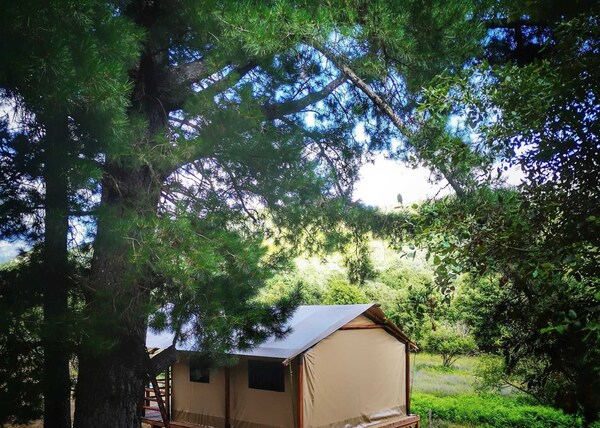 Séjour Inoubliable En Corse - Lodge Alba Scelta - Bastelica