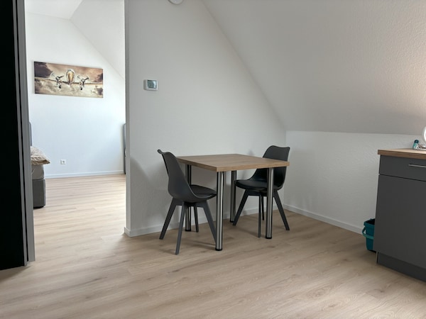 Apartment Mit Küche Und Badezimmer - Hockenheim