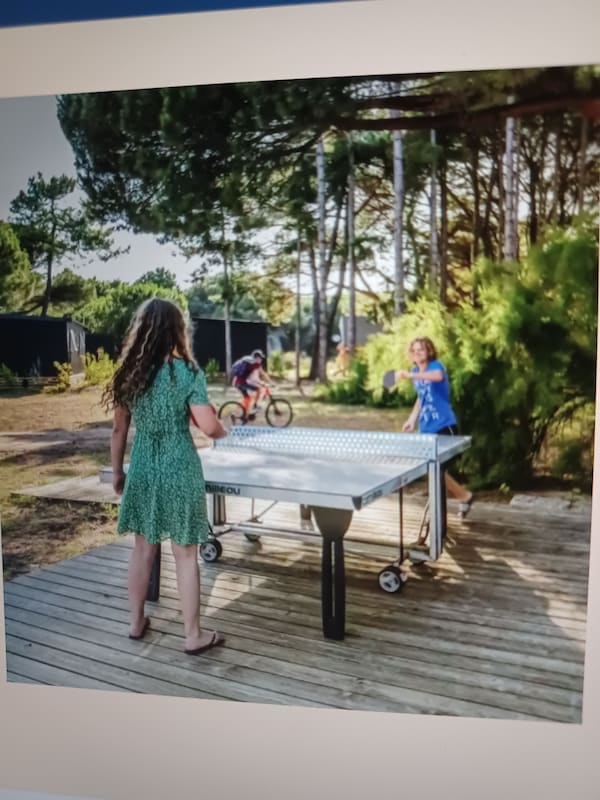 Mobilhome Ile De Ré, éLégant Bois 32 M2 . Accès Direct Plage. Animaux Acceptés - Le Bois-Plage-en-Ré