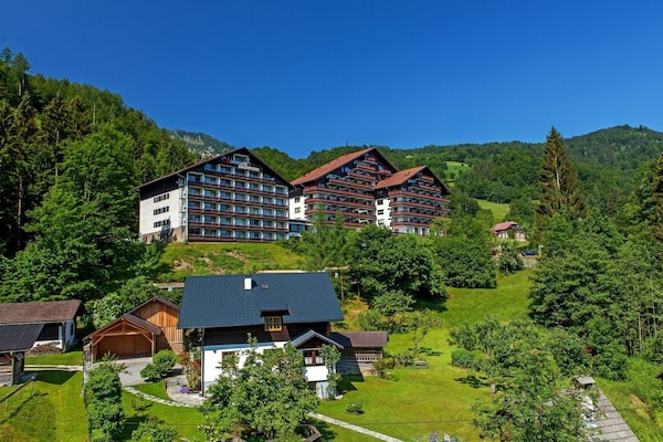 Vacation Apartment/apartment For 3 Guests With 33m² In Bad Goisern On Lake Hallstatt (266099) - Saint Wolfgang im Salzkammergut