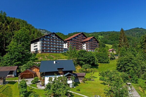 Ferienwohnung/app. Für 4 Gäste Mit 66m² In Bad Goisern Am Hallstättersee - Altaussee