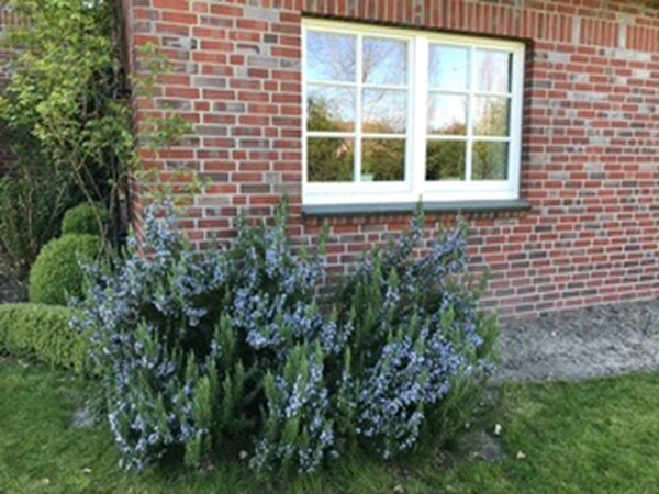 Ferienwohnung Unicorn - Unicorn - Drochtersen