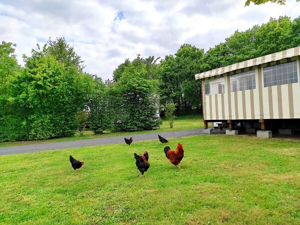 Mobil-home Proche Du Puy Du Fou !! - Cholet