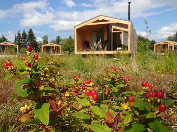 Ferienhaus Für 3 Gäste Mit 35m² In Bleckede (264802) - Lauenburg/Elbe
