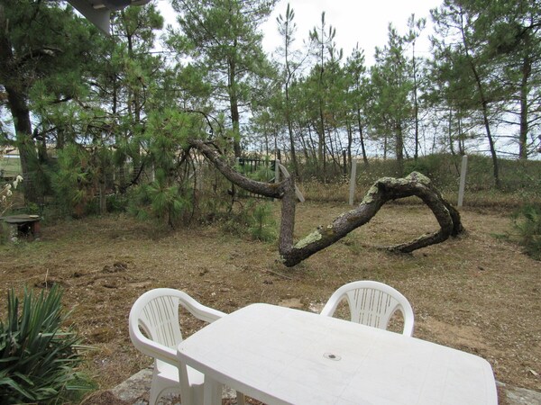 Renoviertes 3-schlafzimmer-haus In Ozeannähe Mit Abgeschlossenem Garten Und Wifi - Angles