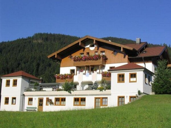 Apartment/2 Bedrooms/shower, Wc - Mittersteghof - Filzmoos