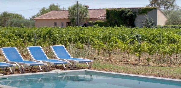 Une Nuit Au Cœur D'un Vignoble Provençal + Piscine - Cotignac