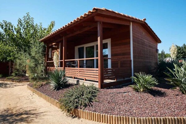Camping 4 éToiles - Piscine  - Ccaafef - Llafranc
