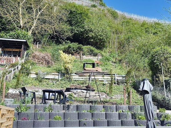 Vacation Apartment Moselschwalbe - Zell