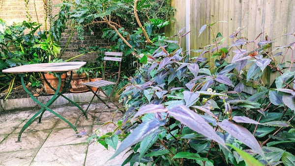 Charming East London Apartment - Stratford