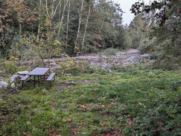 Waterfront Guest House \Nwith Wifi, Ac, Hot Tub, Sauna.\npet Friendly. - Gold Bar, WA