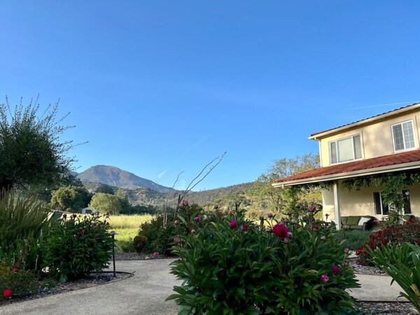 Charming 2-bedroom Unit With Vineyard Views At The Villa Mimosa In Napa Valley - Napa Valley, CA
