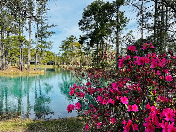 Ibis Cottage Suite 3717-b- Part Of Eden At Gracefield Event Venue - Caroline du Sud