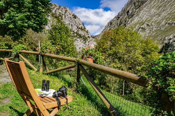 Pure And Wild Nature In The Heart Of The Picos De Europa - Ponga
