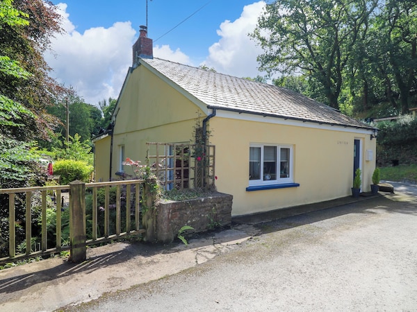 Llyn Y Felin, Pet Friendly, Country Holiday Cottage In Llechryd - Aberporth