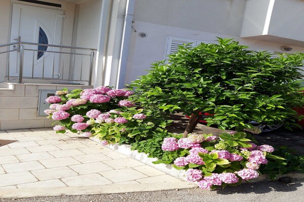 Apartments Pojko - One-bedroom Apartment With Terrace (Yellow) - Dubrovnik