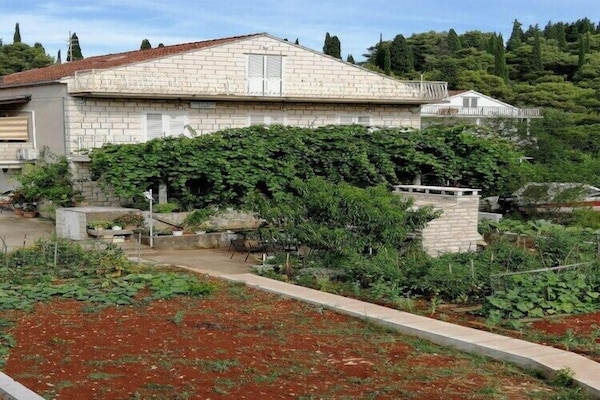 Apartments Marita - One Bedroom Apartment - Lumbarda