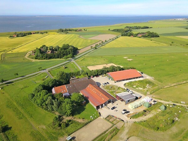 Vacation Apartment Langeoog - Riding And Vacation Farm Maack In Ostbense - Norderney