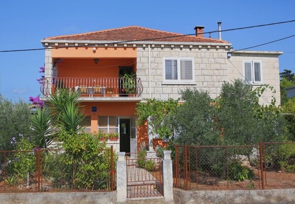 Appartamenti Liza (10174-a2) - Korcula - Isola Di Korcula - Lombarda