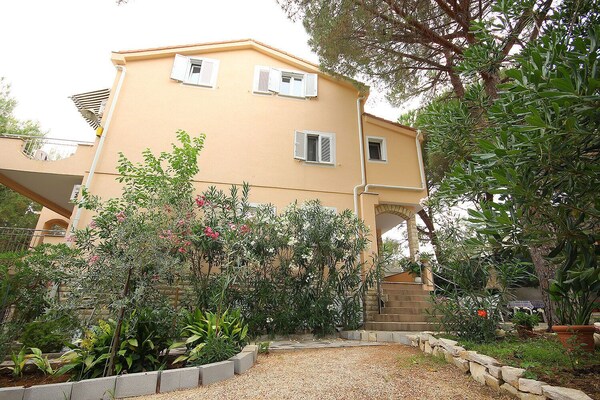 Apartments Dino (104671-a3) - Novalja - Island Pag - Stara Novalja