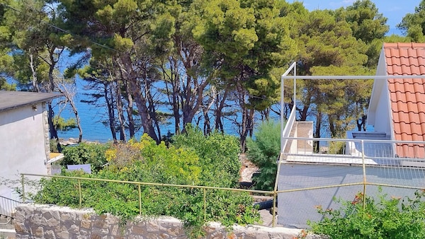 Apartments Dari (11242-a1) - Jelsa - Island Hvar - Jelsa