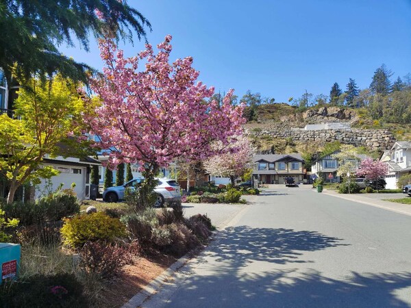 Bear Mountain Getaway Close To A Golf Course - Langford