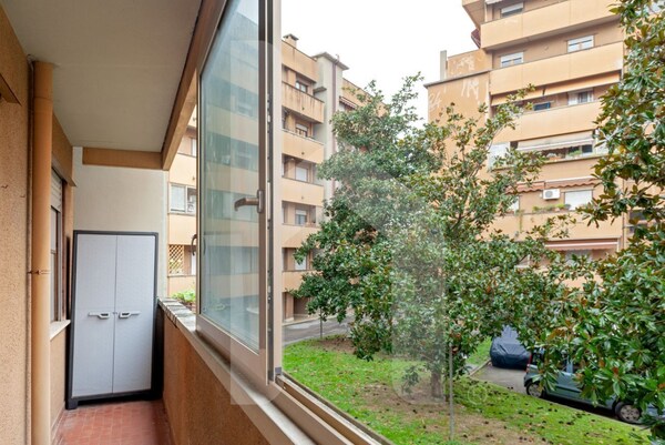 Homiday- Apt Hospital Cisanello -Free Parking - Pisa