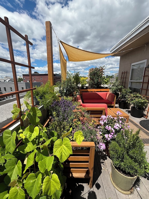 Designer Loft With Private Terrace - Brooklyn