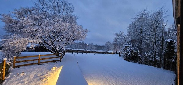 The Orchard Cottage Soiron - Belgium