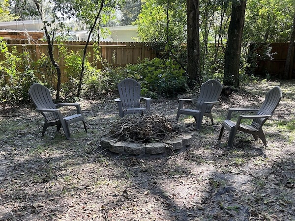 Sunny At The Gator's Swamp - Gainesville, FL