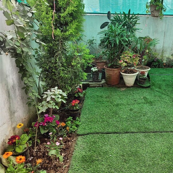 Bungalow With Swimming Pool N Pool Table 4 Bedrooms Ac, Wifi, Mohali Chandigarh - Sahibzada Ajit Singh Nagar