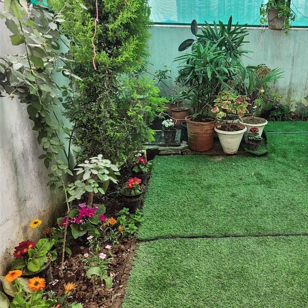 Bungalow With Swimming Pool N Pool Table 4 Bedrooms Ac, Wifi, Mohali Chandigarh - Sahibzada Ajit Singh Nagar