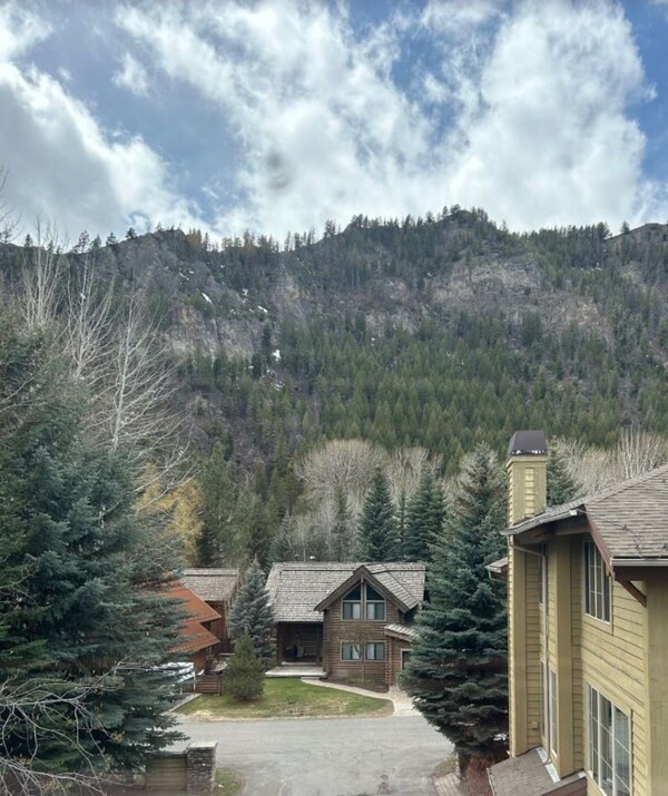 Luxury Townhome Located In West Ketchum. Short Walk To Ski Lifts And Town! - Ketchum, ID
