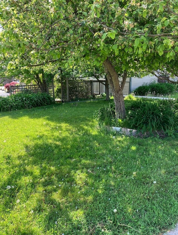 Rustic Escape - Cozy, Central & Pet-friendly - New Brunswick