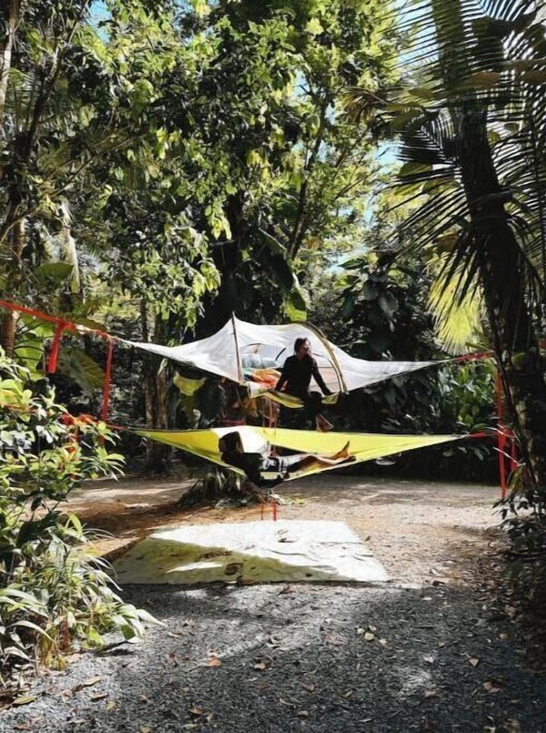 Tree Camping Tents: Hacienda Monte Rey\n\n - Río Grande
